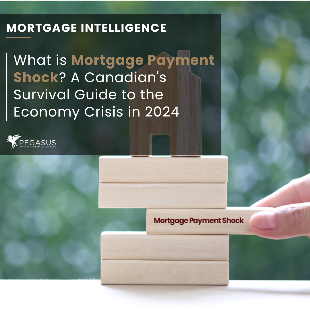 Mortgage Payment Shock - Survival Guide to Economic Crisis